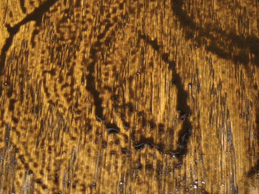 Four methods to prevent fish eye | Woodshop News Magazine