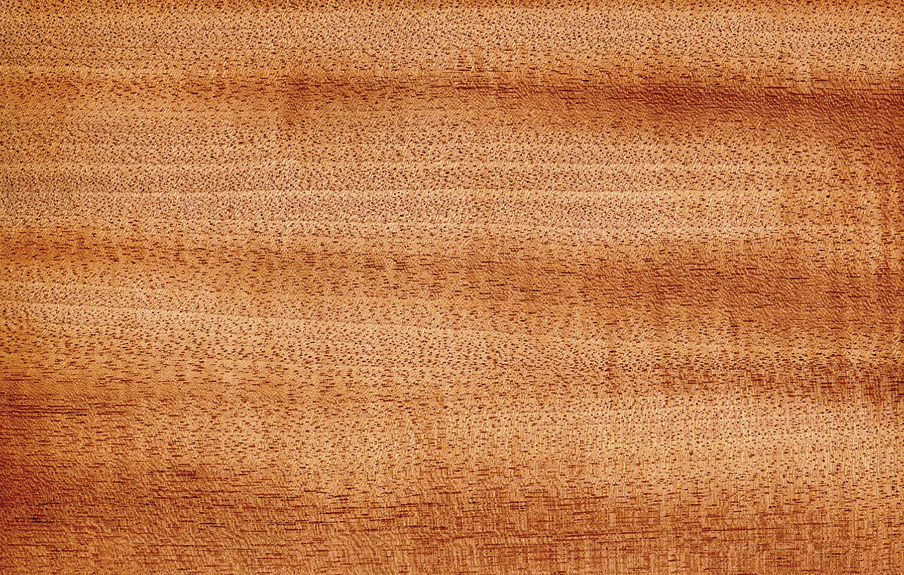 Mahogany prices rise with increased shipping costs | Woodshop News Magazine