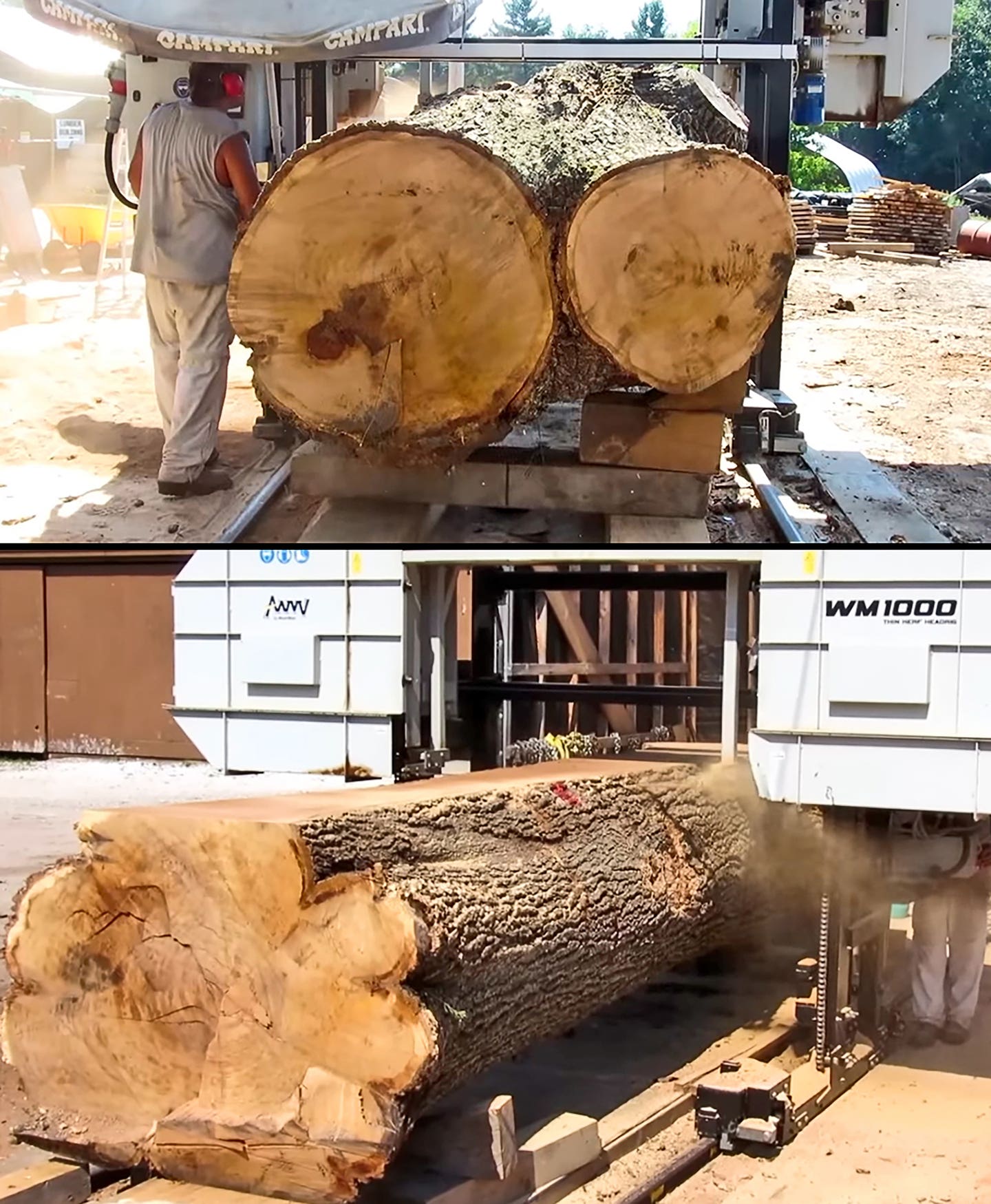 Wood is looking good | Woodshop News Magazine